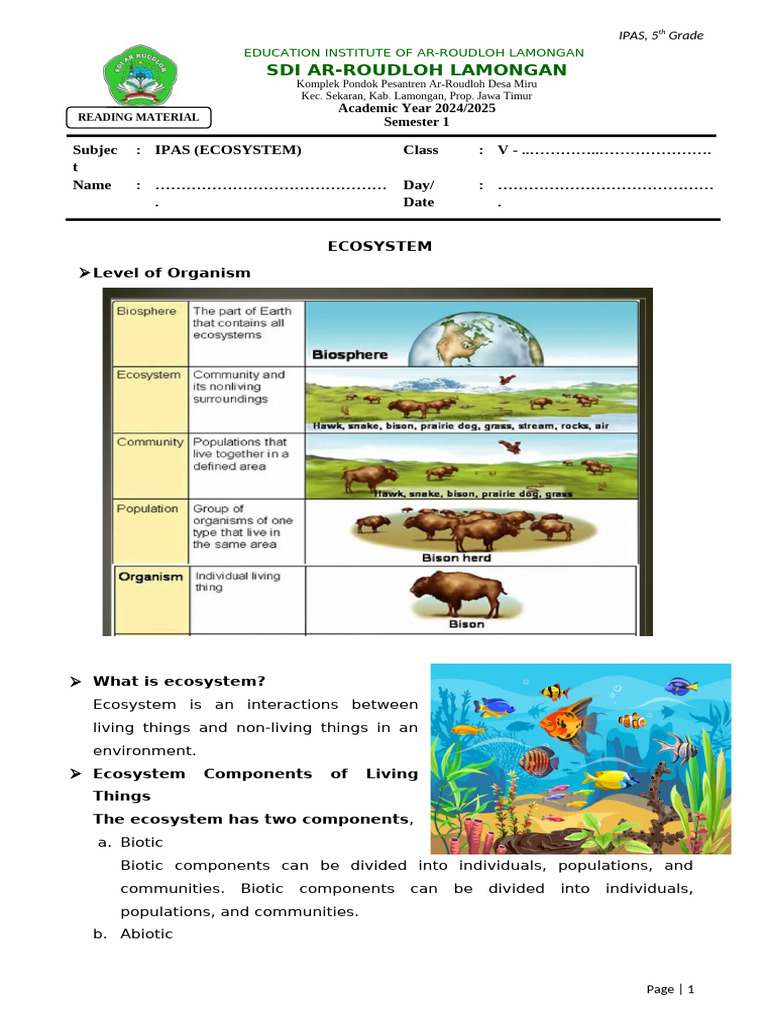 3. RM ECOSYSTEM | PDF