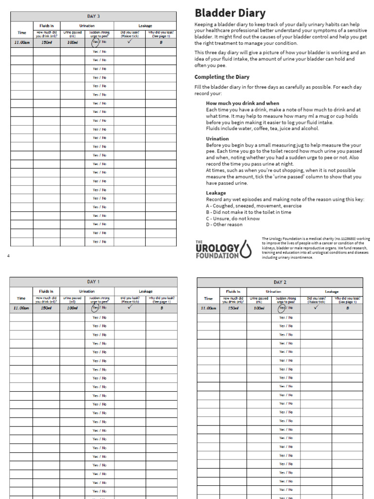 Bladder Diary | PDF