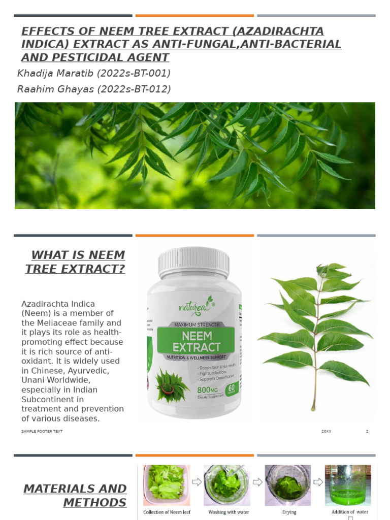 Neem Extract's Antifungal and Antibacterial Effects | PDF | Fungus ...
