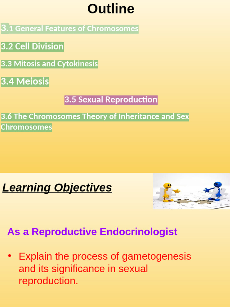 Sexual Reproduction Processes Explained | PDF | Meiosis | Sex