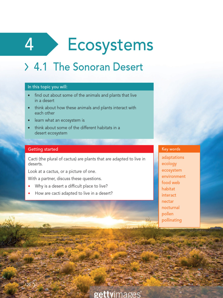 Chapter 3.1 and 3.2 Ecosystem | PDF | Desert | Plants