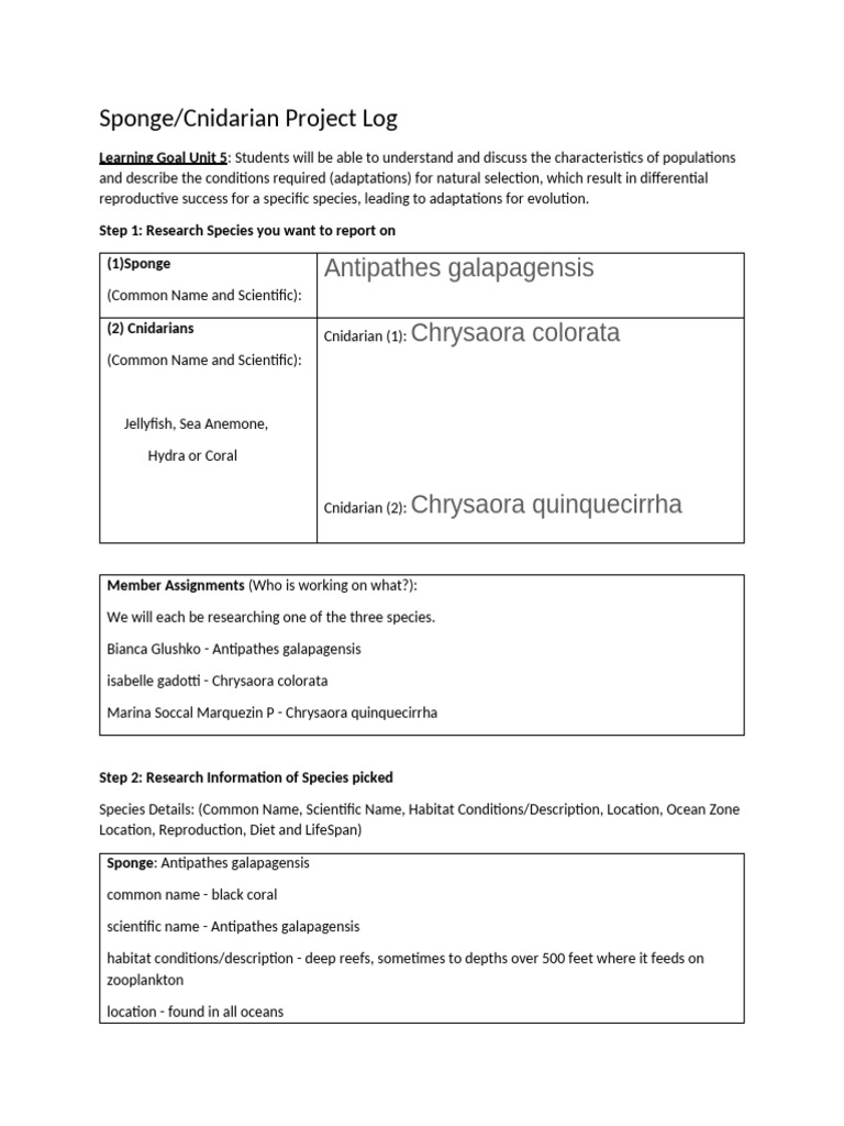 Sponge and Cnidarian Species Create Check Research LOG | PDF | Coral ...