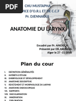 Fracture du rocher : enjeux cliniques | PDF | vertige | Traumatisme crânien