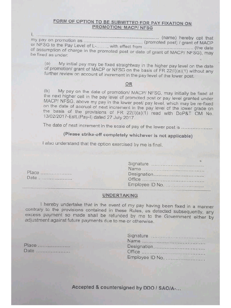 Updated Option Form | PDF