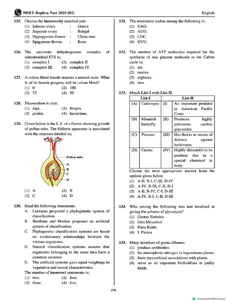NEET Replica Test 01 - Test Paper - Ummeed NEET 2025 - 14 | PDF