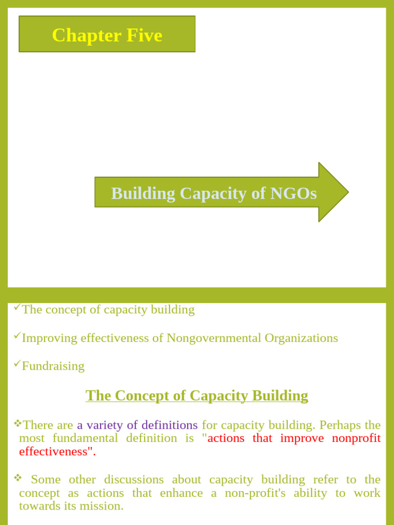 Chap Five 111925 | PDF | Capacity Building | Non Governmental Organization