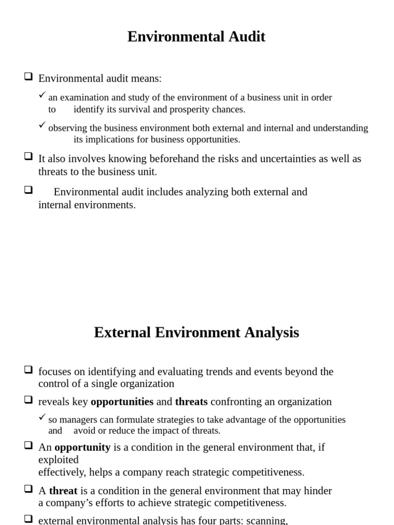 CH 3-2 Environmental Audit | PDF | Competitive Advantage | Business