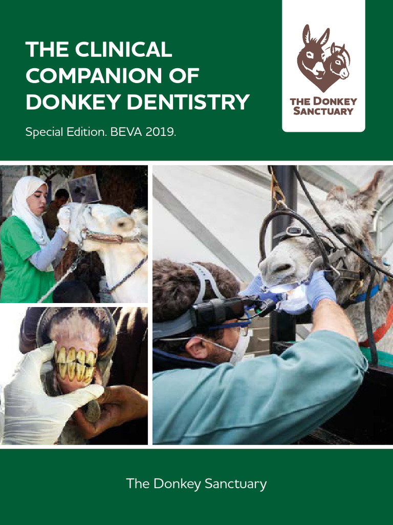 Donkey Dentistry Clinical Companion | PDF | Human Tooth | Tooth