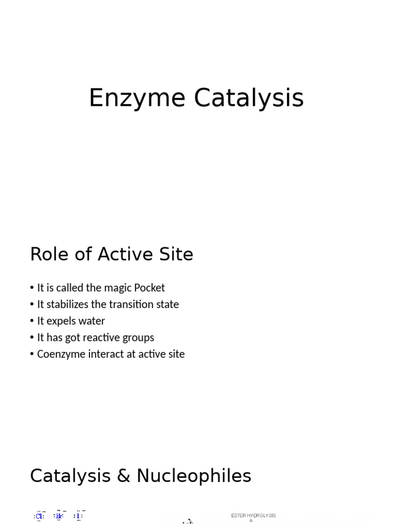 2087 - Enzyme Catalysis | PDF | Active Site | Catalysis