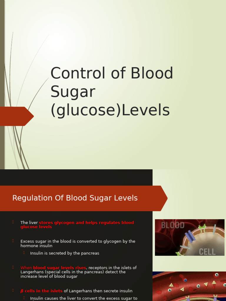 Control of Blood Sugar (Glucose) Levels | PDF