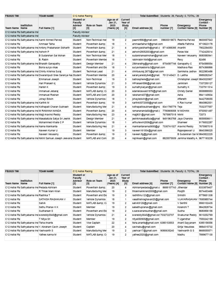 TMI - 2025 - C12 Astral Racing - TMI | PDF | Family | Kinship And Descent