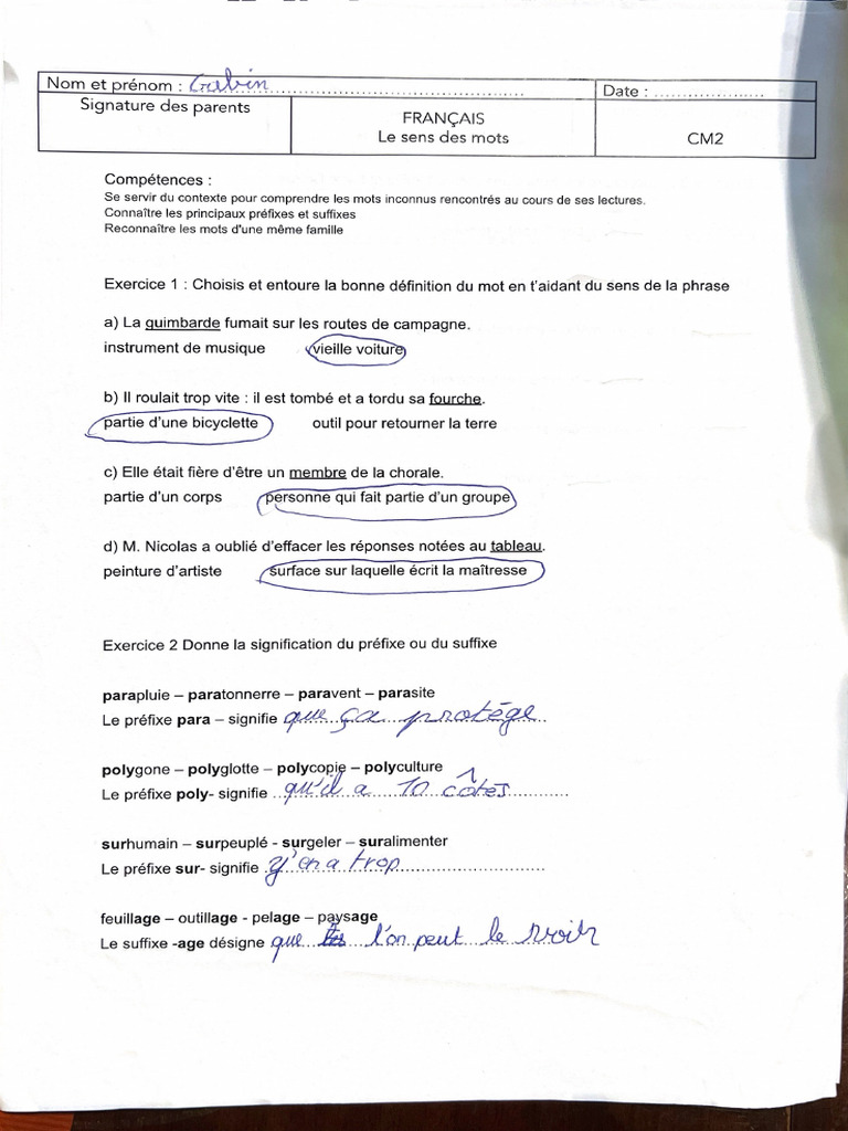 Sens Des Mots | PDF