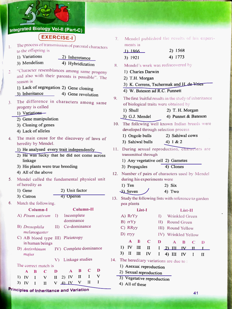 Check 1 | PDF