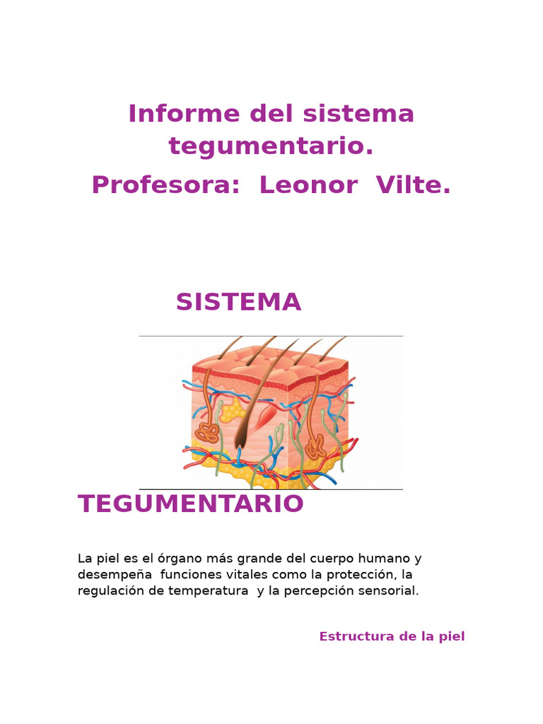 informe del sistema Tegumentario | PDF | Piel | Termorregulación