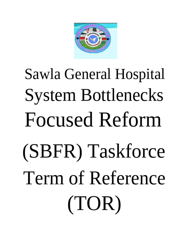 SGH SBFR-Taskforce-TOR 2017 | PDF | Health Informatics | Health Care