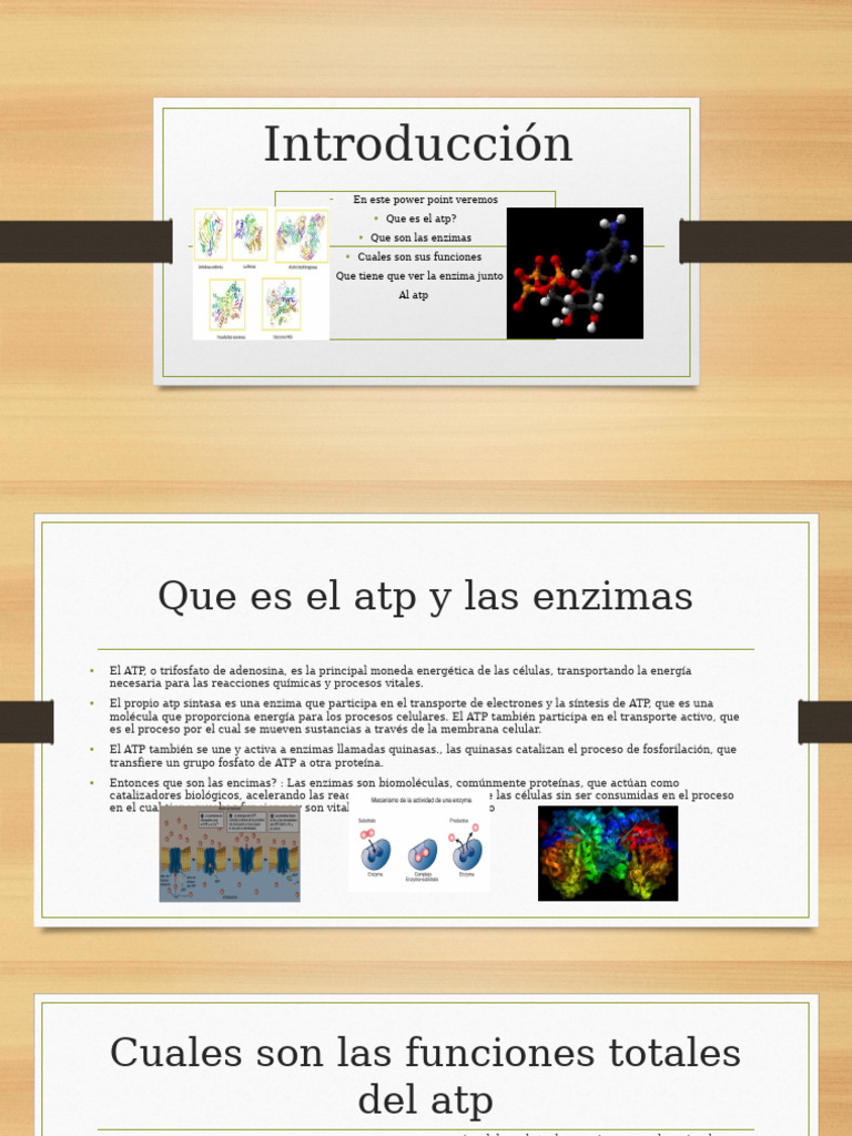 Presentacion de Las Enzimas | PDF | Trifosfato de adenosina | Enzima