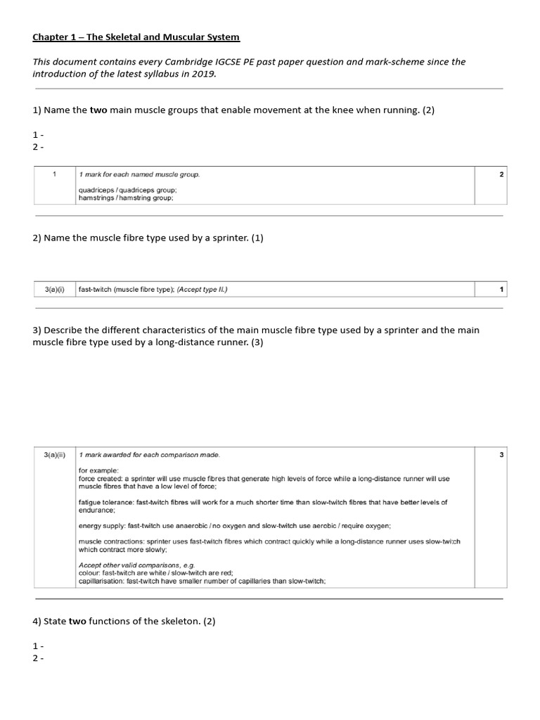 IGCSE PE: Skeletal & Muscular System Guide | PDF | Skeleton | Hip