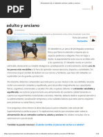 Cálculo de RER y MER para Gatos y Perros | PDF | Animales domesticados ...