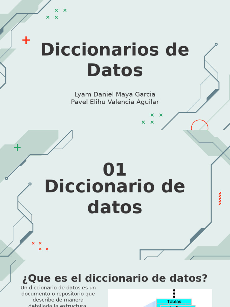 Diccionario de Datos | PDF | Metadatos | Datos
