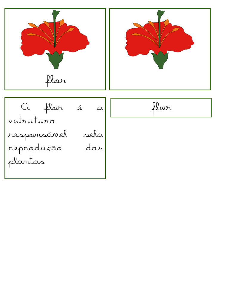 Estrutura e Função das Flores | PDF
