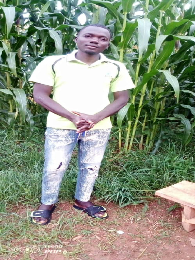 PDF_Phoenix_20250129 | PDF