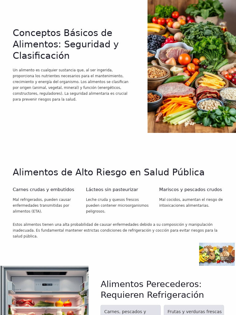 1 BPM PRESENTACIÓN Conceptos Básicos de Alimentos | PDF | Alimentos | Carne