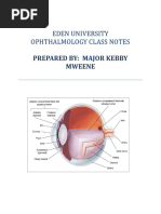 Laramy K OpticianWorks Ultimate ABO Study Guide v6.23 | PDF | Myopia ...