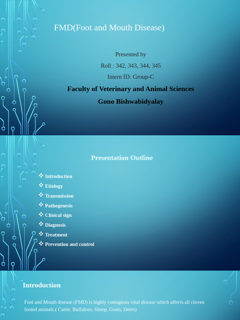 Foot and Mouth Disease Overview | PDF | Medical Specialties | Microbiology