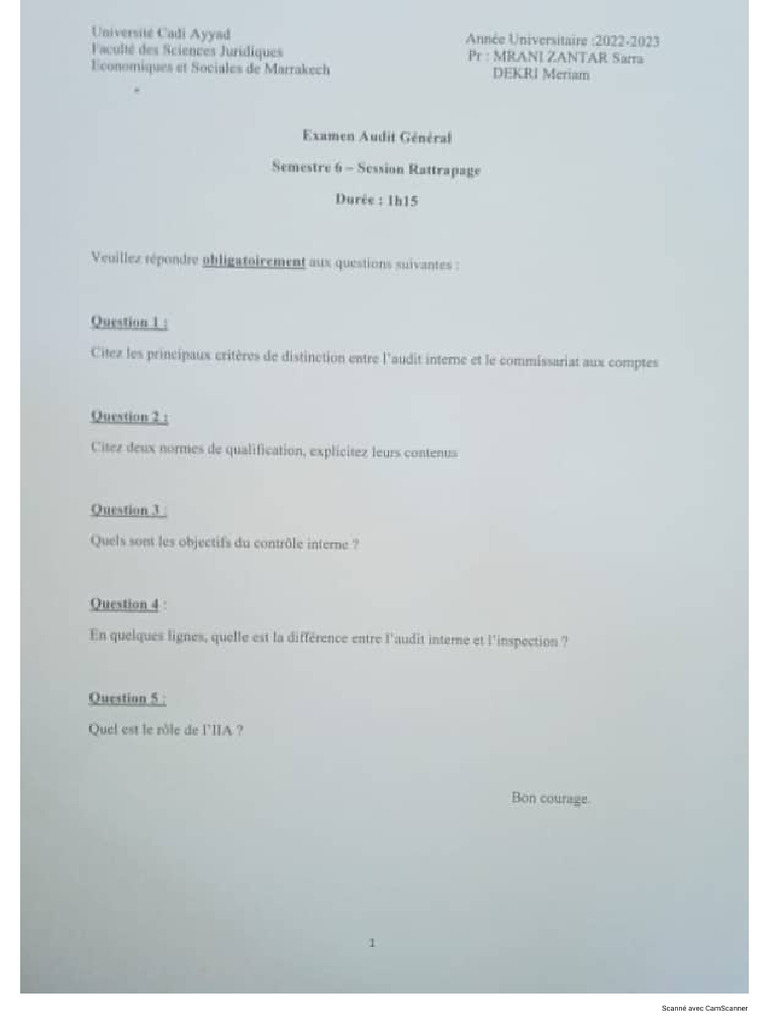 Audit RAT 2022-2023 | PDF