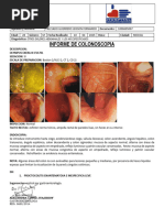 Escala de Boston | PDF | Ciencia y matemáticas