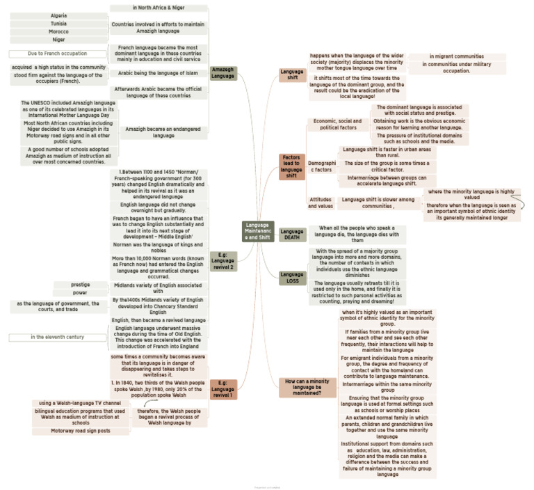 Language Maintenance and Shift | PDF | English Language | Linguistics