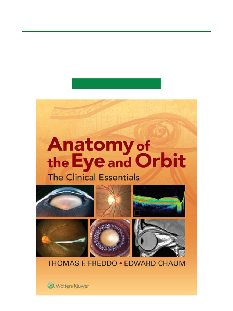 Clinical Essentials of Eye Anatomy | PDF | Retina | Ophthalmology