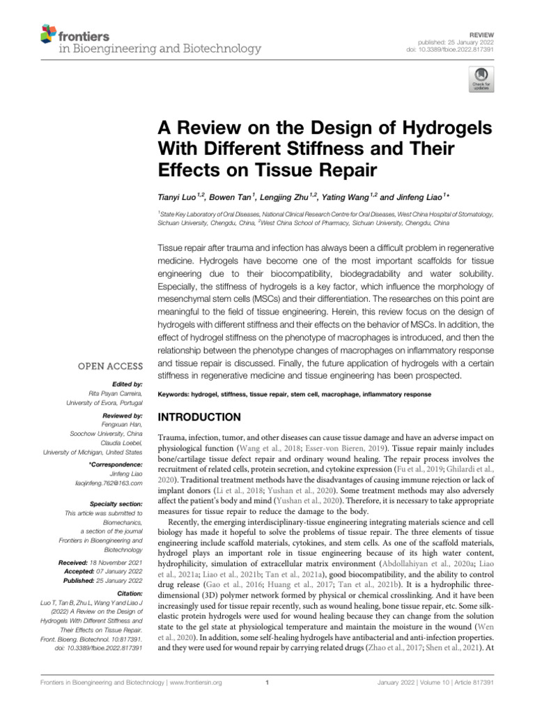 Hydrogel Stiffness in Tissue Repair | PDF | Mesenchymal Stem Cell ...