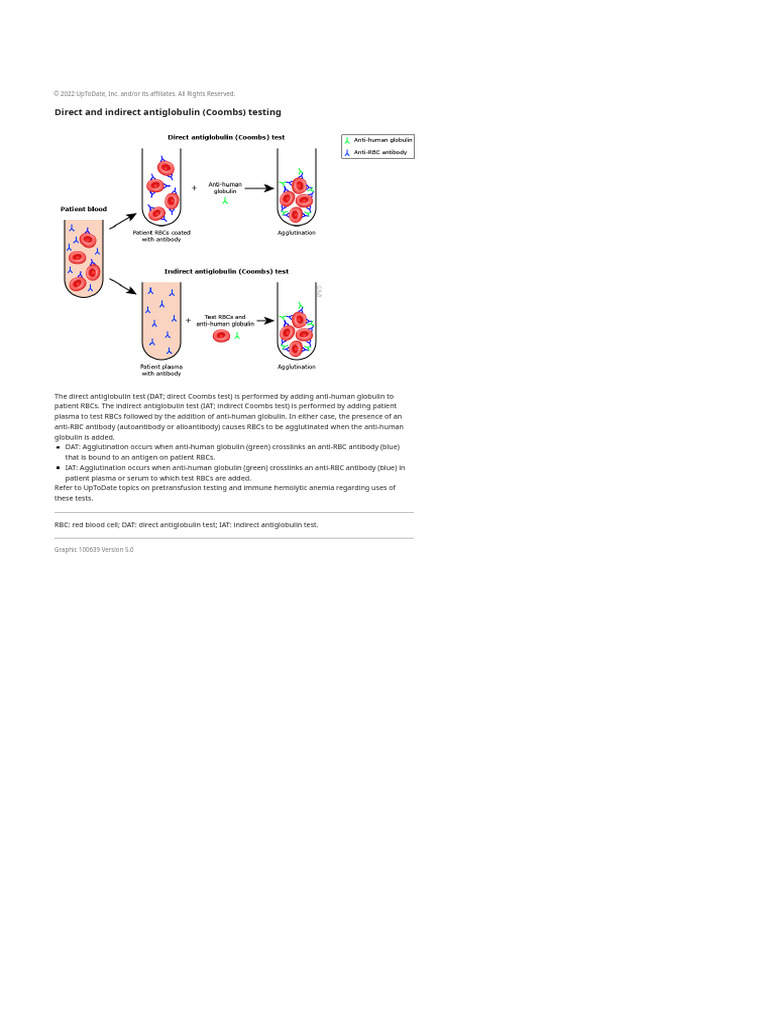 Direct and Indirect Antiglobulin (Coombs) Testing - UpToDate | PDF