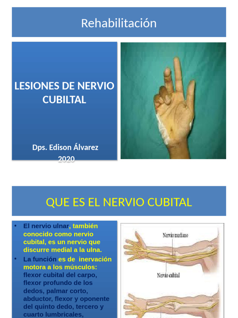 Lesiones y Rehabilitación del Nervio Cubital | PDF | Nervio | Mano