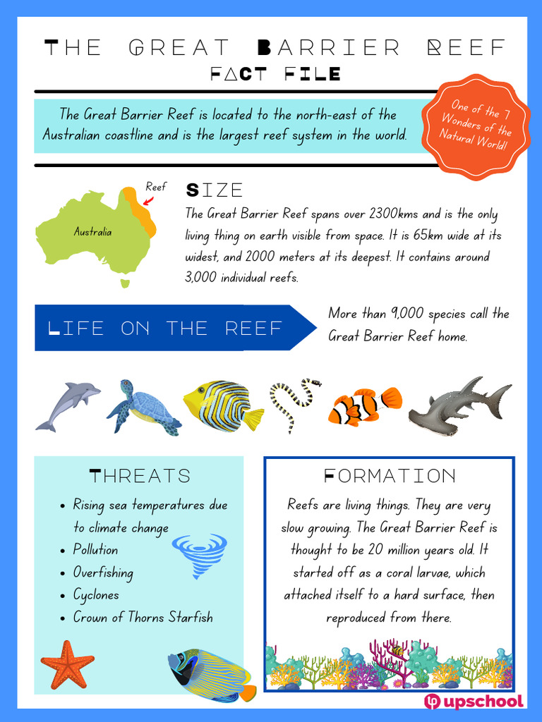 Fact File The Great Barrier Reef | PDF