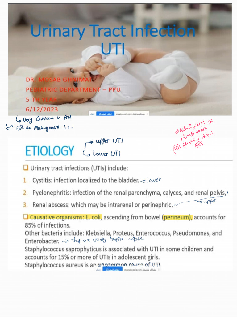 UTI | PDF