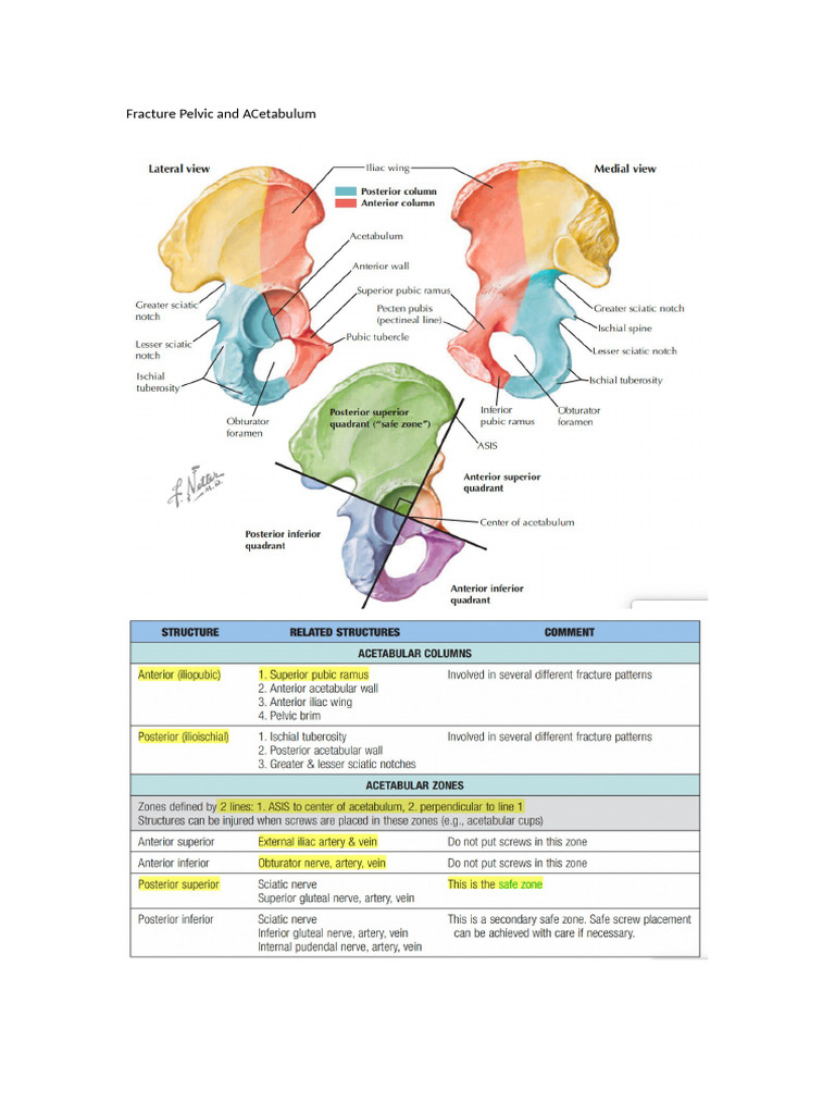 Fracture Pelvic and ACetabulum | PDF