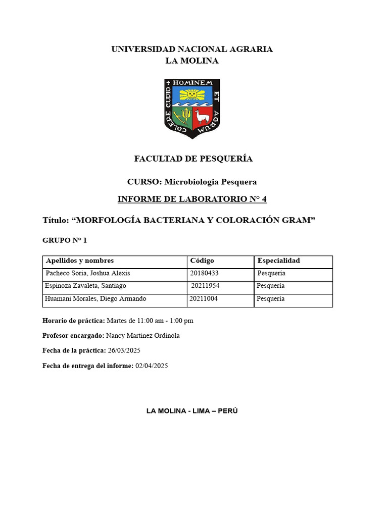 Micro Informe 4 Tinción Gram | PDF | Las bacterias | Bacterias Gram Positivas