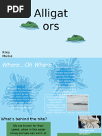 Average Weight of American Alligators | PDF | Pound (Mass) | Crocodile