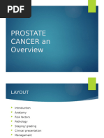 Prostate - TURP 4.2.0.0.REL CAPCP | PDF | Prostate Cancer | Carcinoma