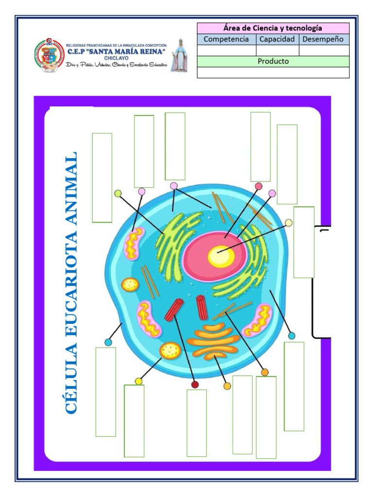Ficha N01 - La Celula | PDF