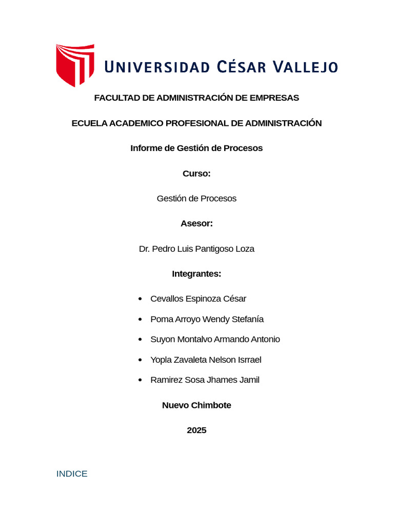 Informe de Procesos | PDF | Business | Procesos de negocio