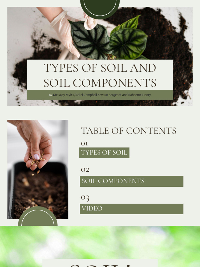 Types and Components of Soil Explained | PDF | Soil | Peat