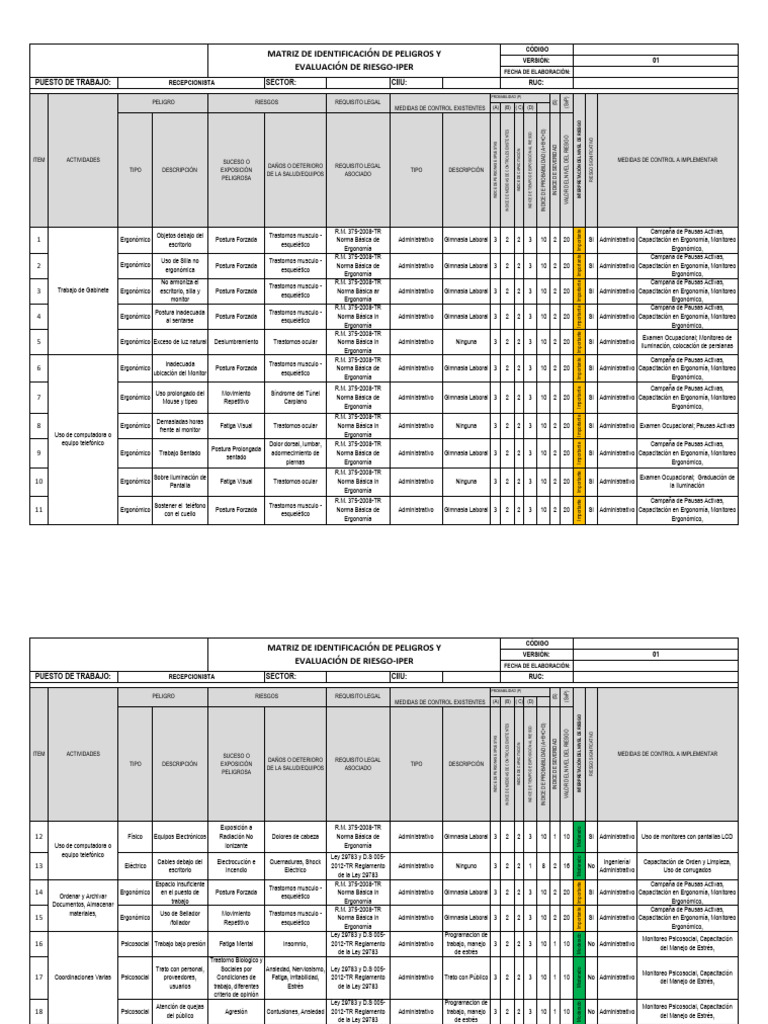 Matrices IPERC Recp | PDF