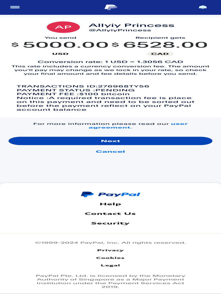 PayPal Make A Payment Preview 8 | PDF