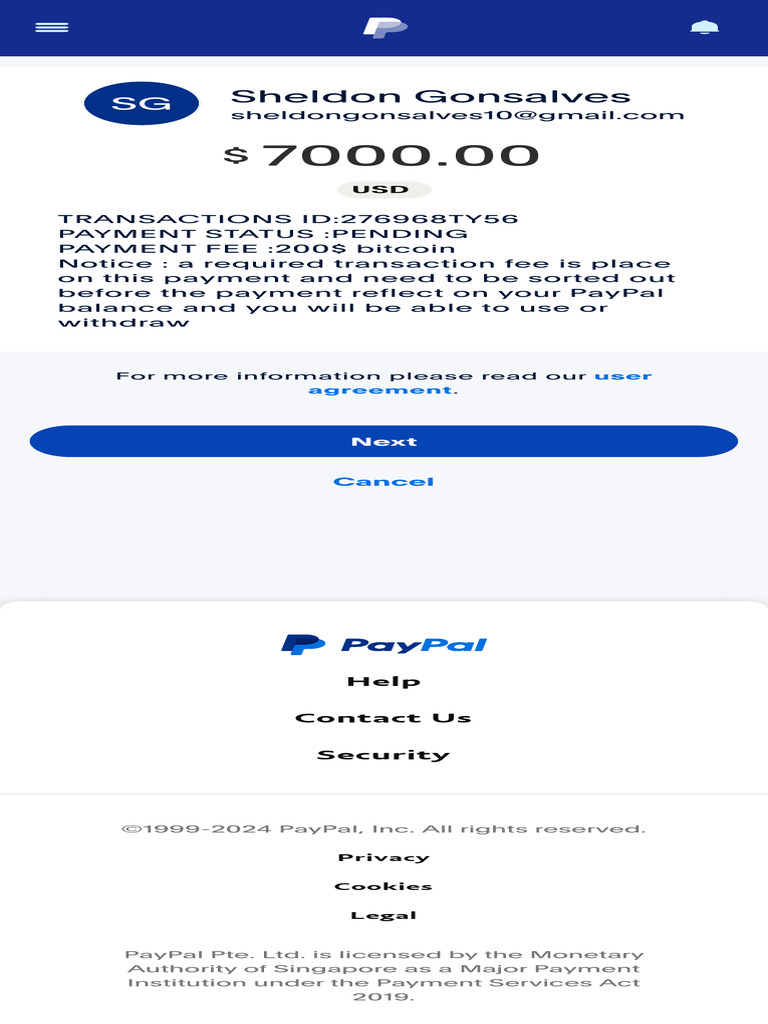 PayPal Make A Payment Preview 5 | PDF