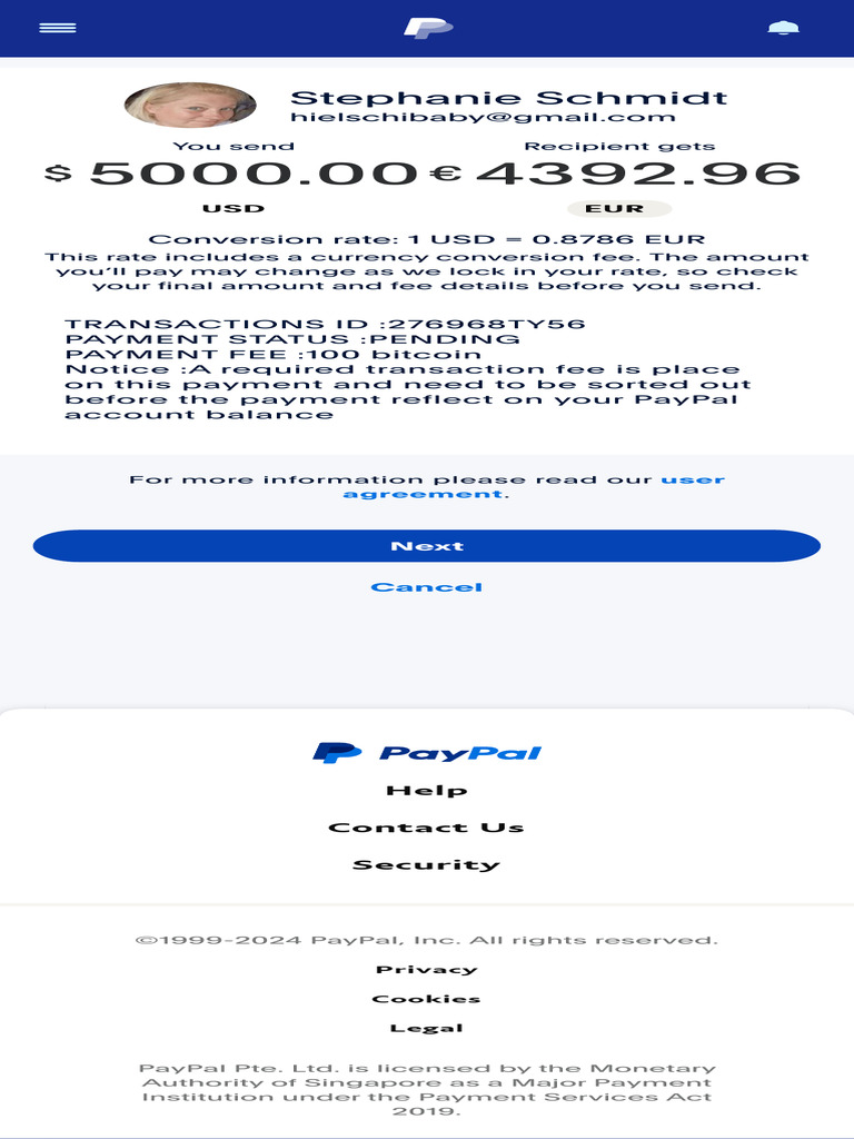 PayPal Make A Payment Preview 14 | PDF