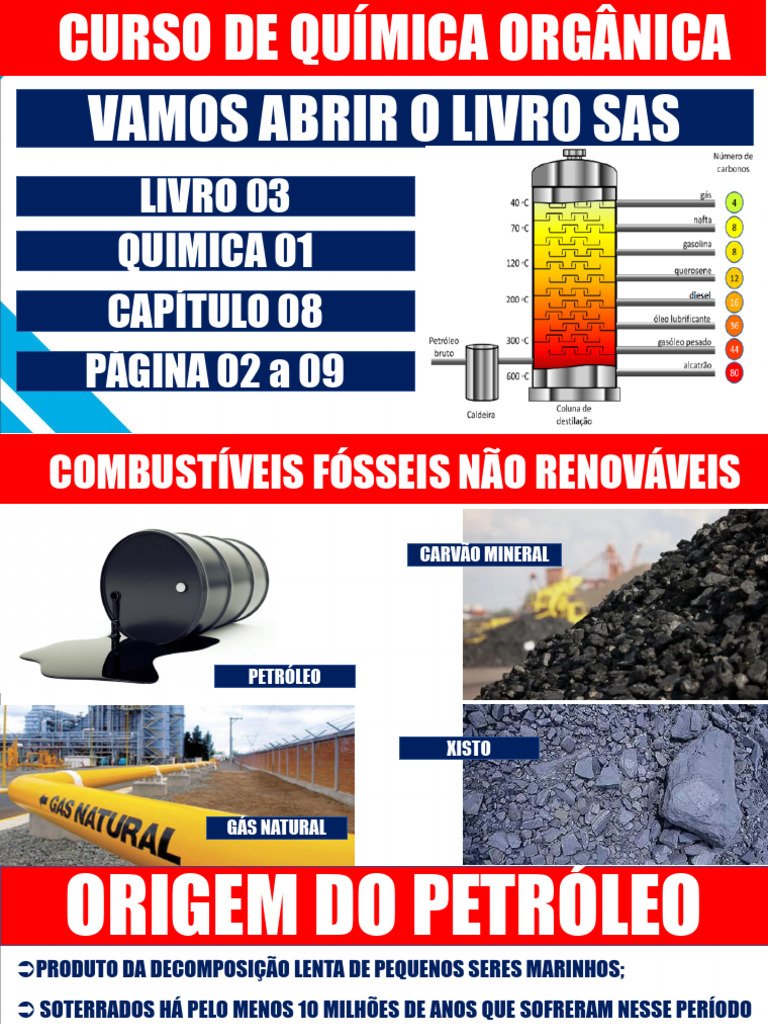 Capitulo 08 - Petróleo e Seus Derivados Novo | PDF | Petróleo | Combustão
