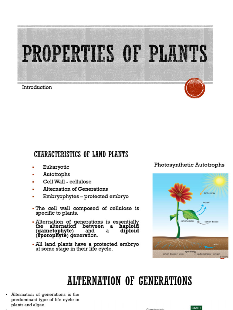 Key Characteristics of Land Plants | PDF | Spore | Organisms